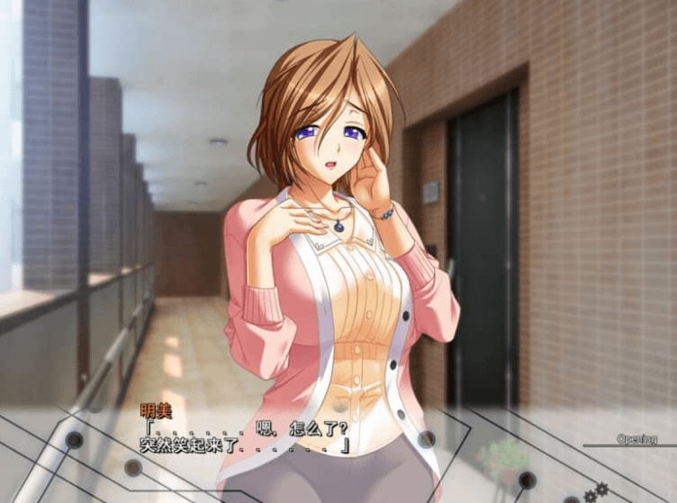 耻辱的制服 Ai完整汉化版 次元领域